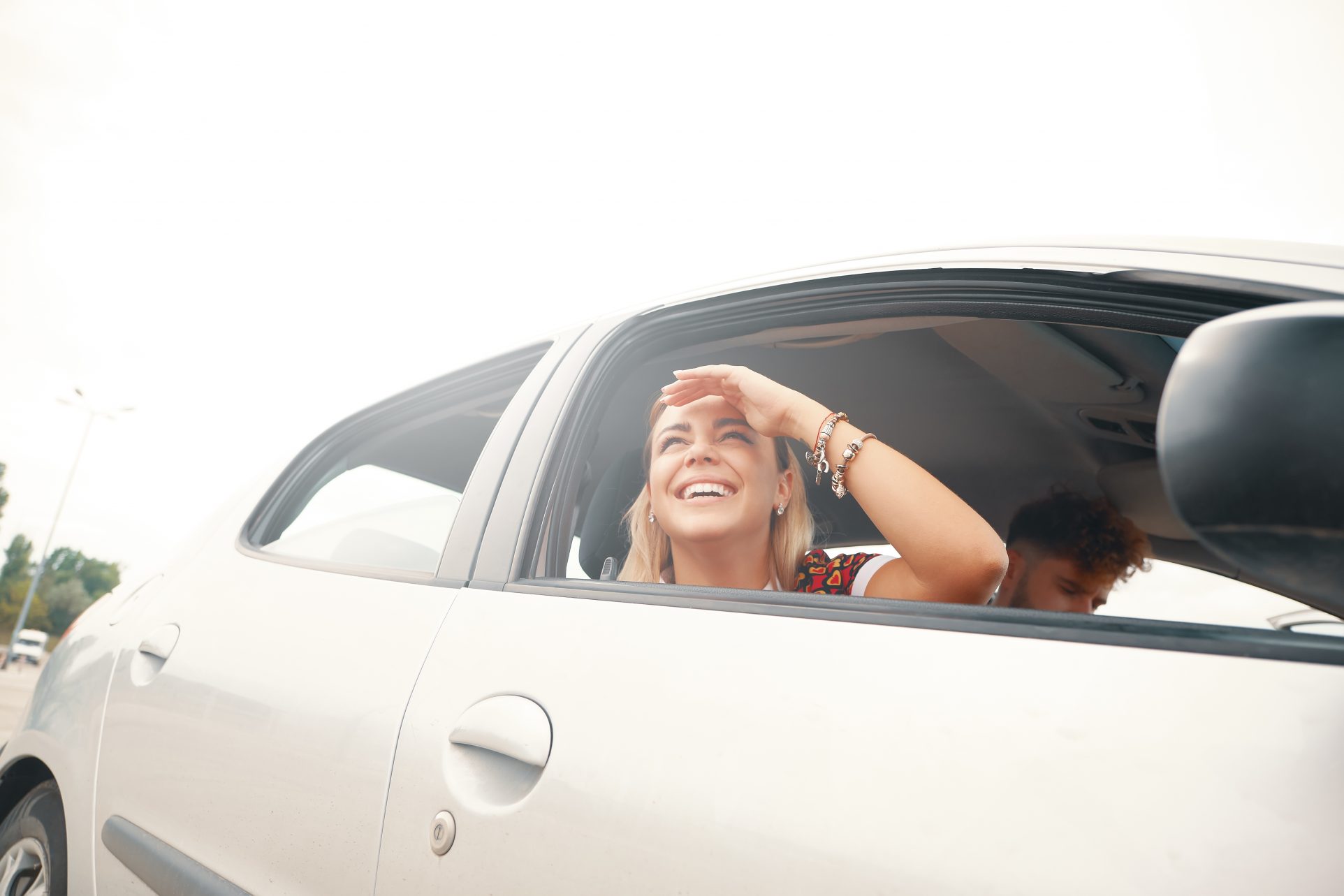 Private sightseeing transfers and tours with local drivers